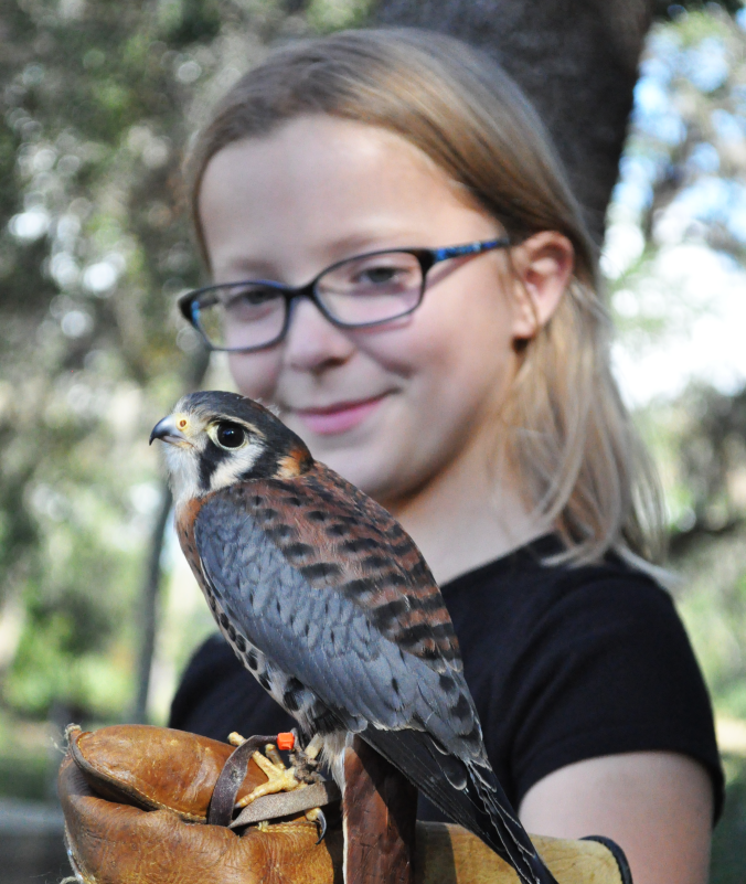 Falconry Adventures of Orlando | Experience the Wild Side of Nature